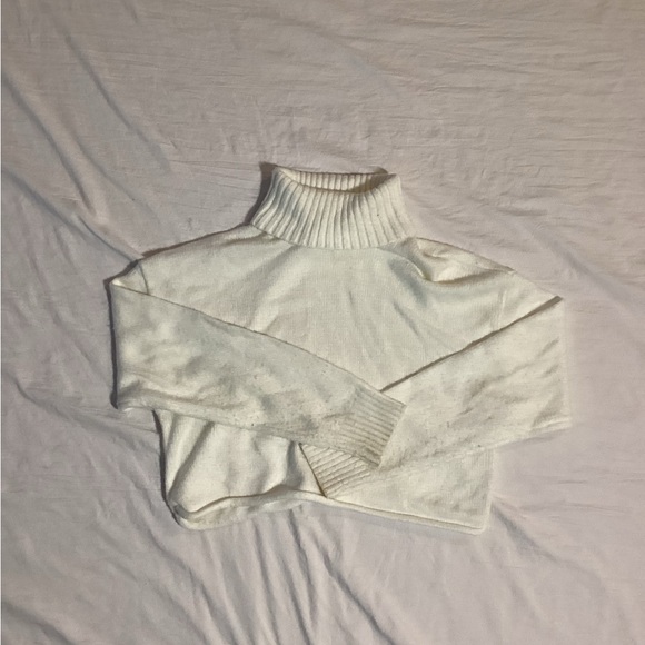 Garage | Sweaters | Garage Cropped Turtleneck Sweater | Poshmark